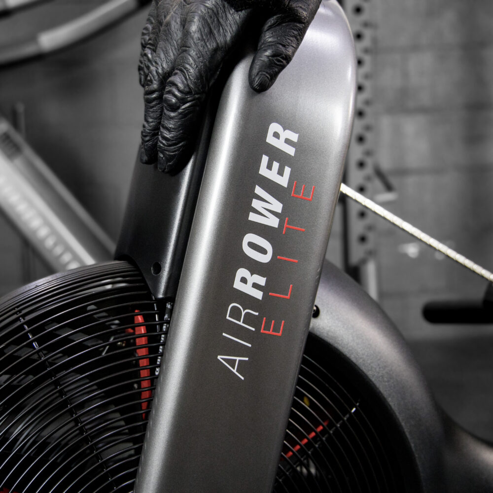 Assault Rower Rudergerät Assault Fitness Ergometer